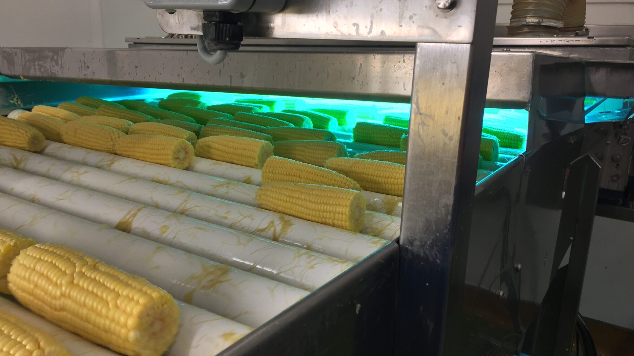 UV technology in food processingUV Technology in Food Processing - UVO3